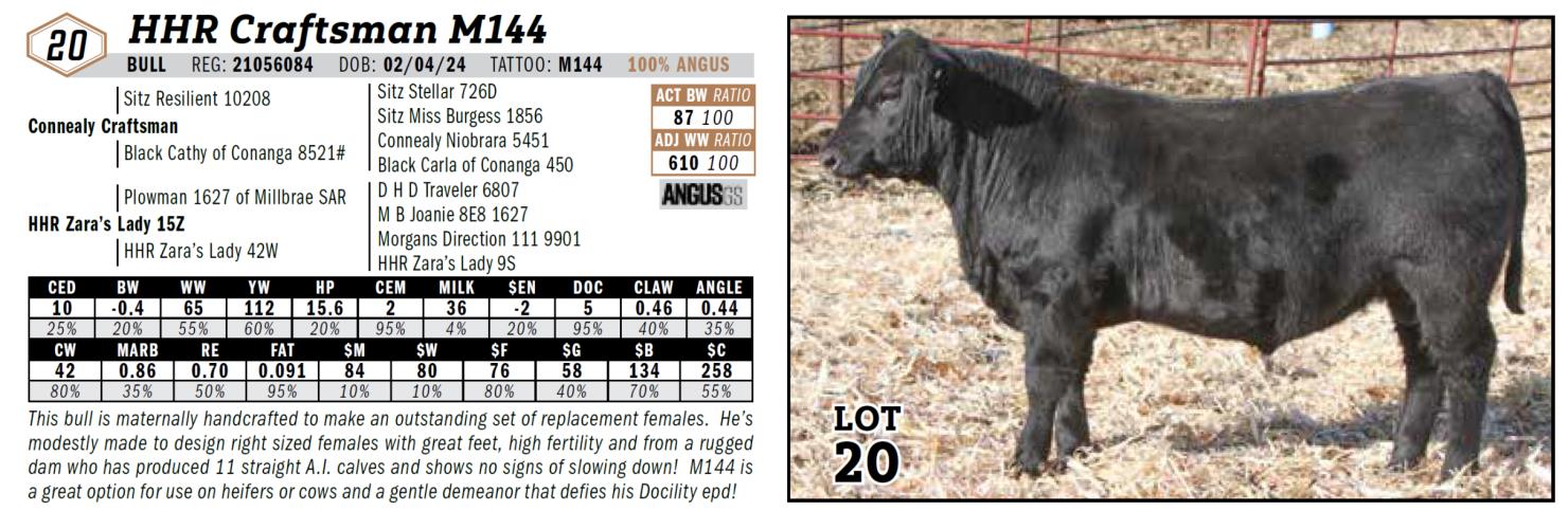 Lot 20 - HHR Craftsman M144: Poppe Bulls / Horseshoe Hill Ranch ...
