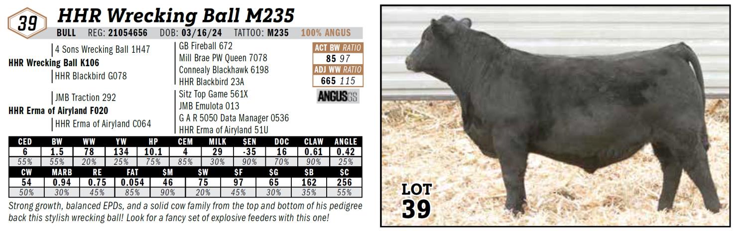 Lot 39 - HHR Wrecking Ball M235: Poppe Bulls / Horseshoe Hill Ranch ...