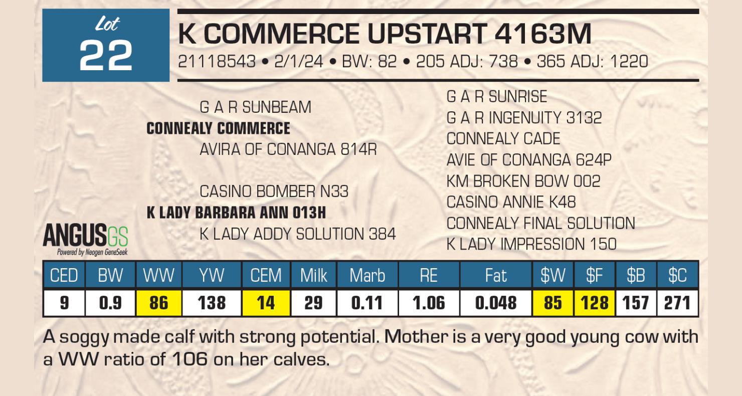 Lot 22: Kreth Cattle - 60th Annual Hereford & Angus Bull & Female Sale ...