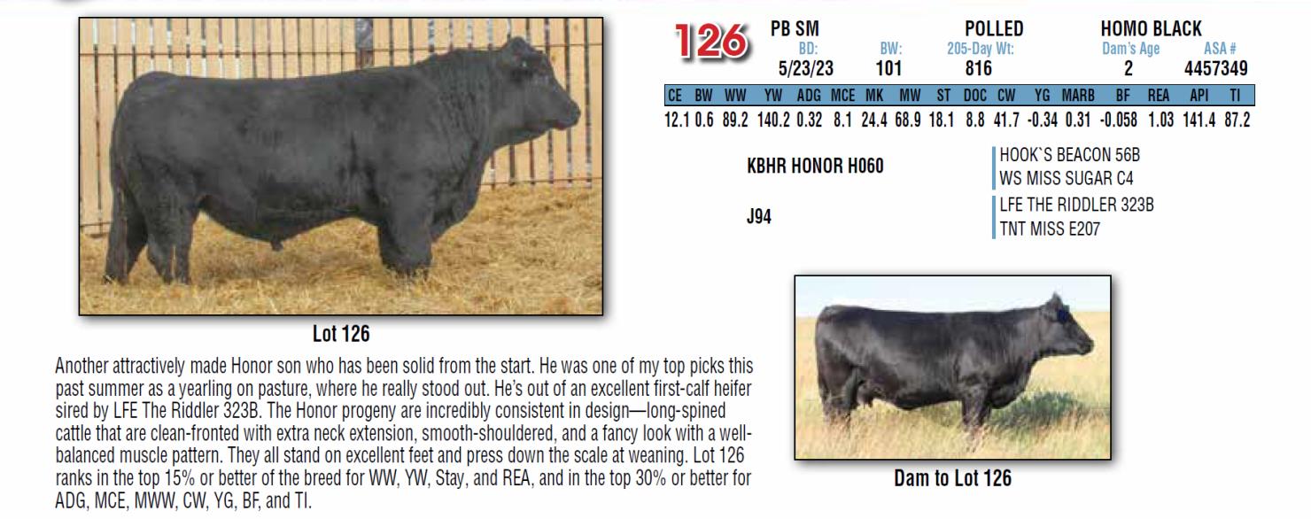 Lot 126: Hanging H Ranch - Annual Simmental & SimAngus Sale | Hanging H ...