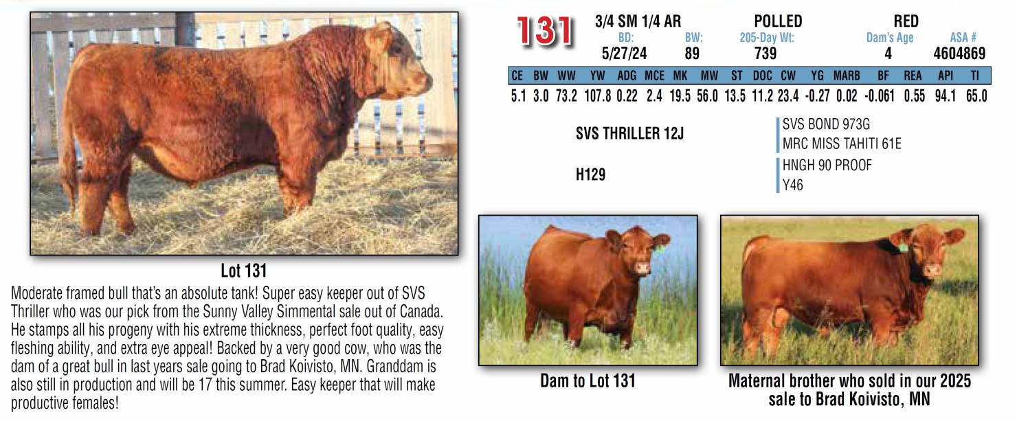Lot 131: Hanging H Ranch - Annual Simmental, SimAngus & Red Angus Sale ...