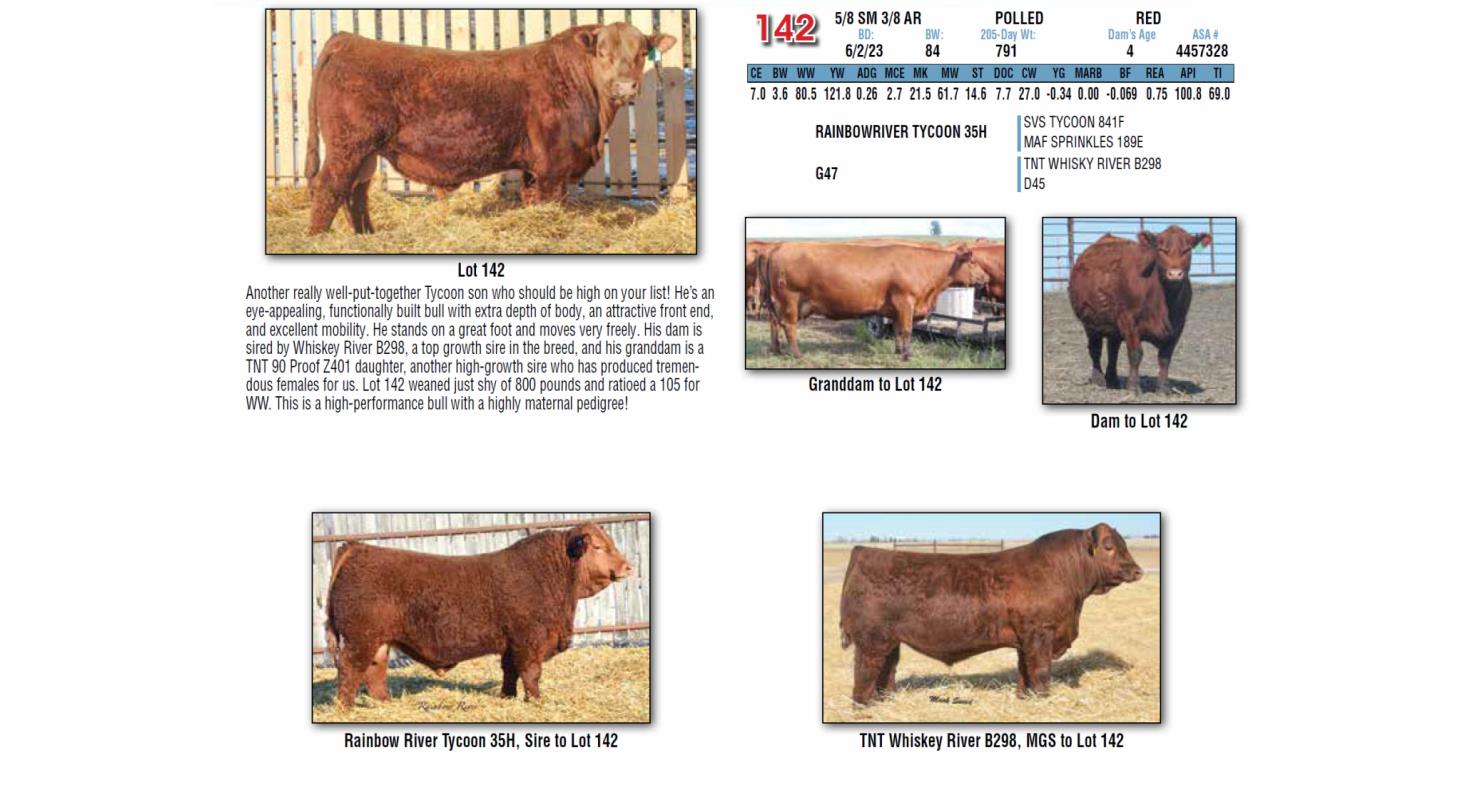 Lot 142: Hanging H Ranch - Annual Simmental & SimAngus Sale | Hanging H ...