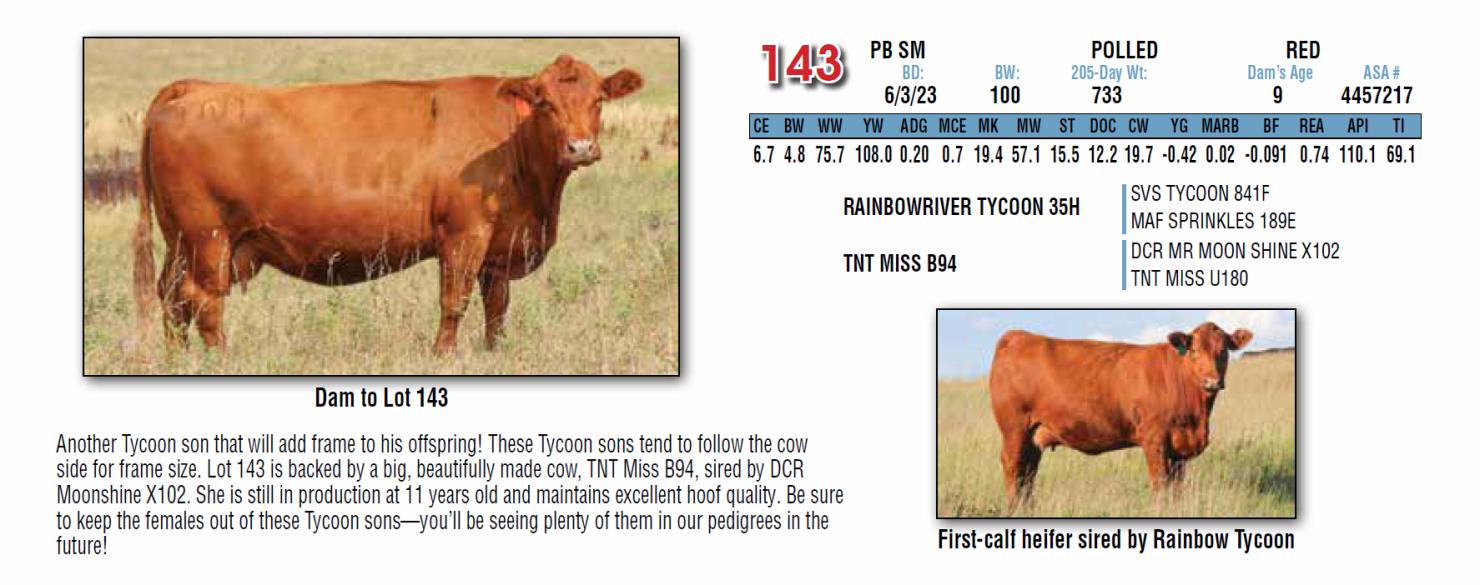 Lot 143: Hanging H Ranch - Annual Simmental & SimAngus Sale | Hanging H ...