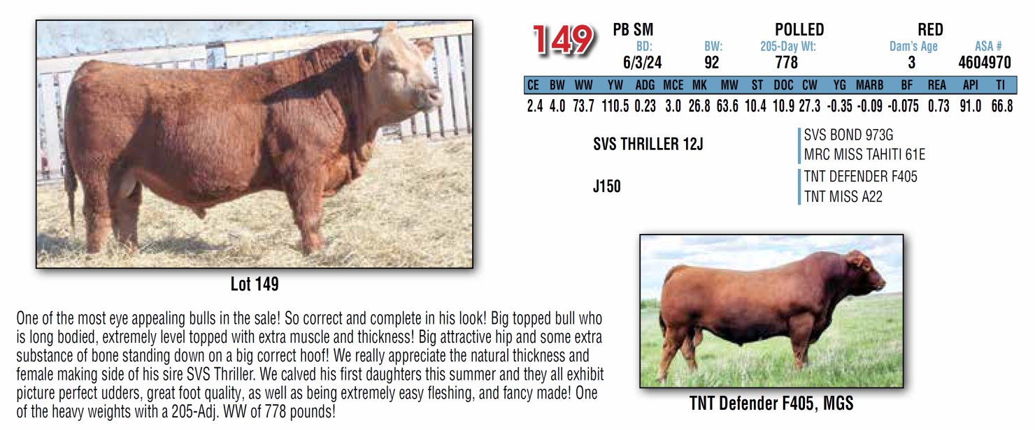 Lot 149: Hanging H Ranch - Annual Simmental, SimAngus & Red Angus Sale ...