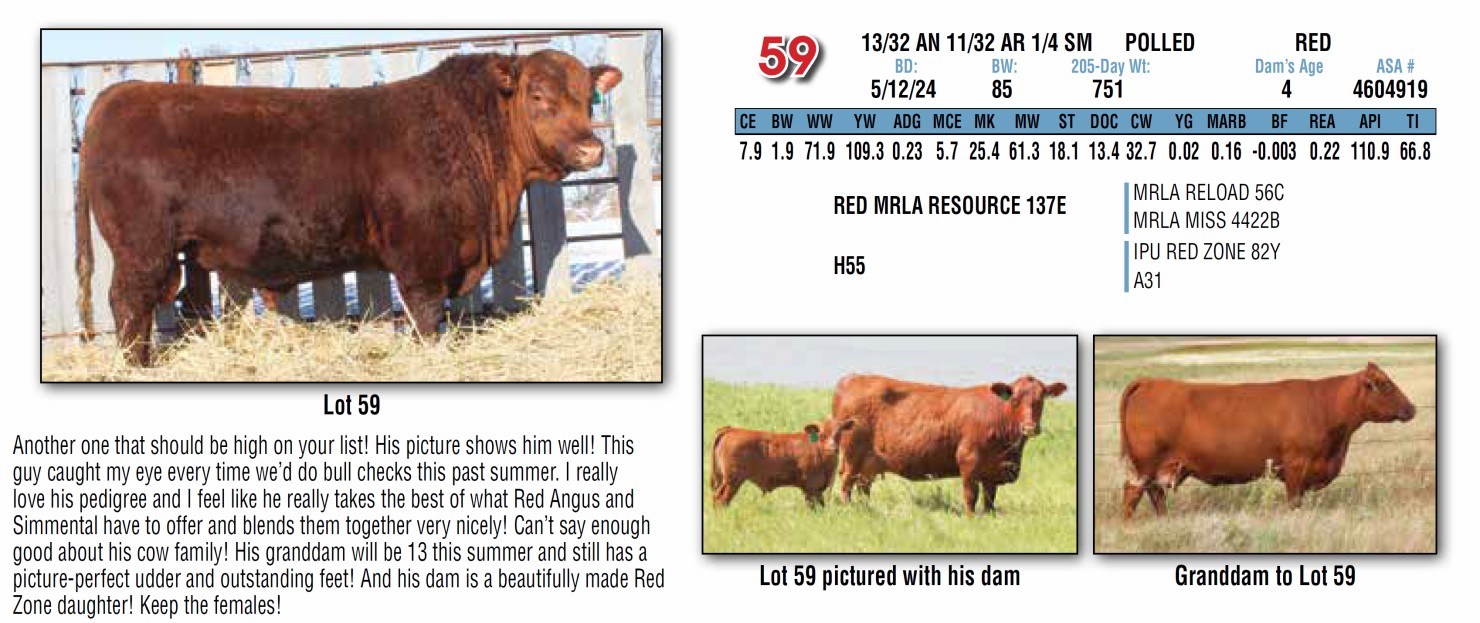 Lot 59: Hanging H Ranch - Annual Simmental, SimAngus & Red Angus Sale ...
