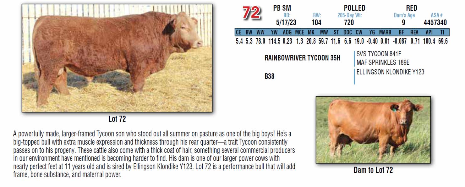 Lot 72: Hanging H Ranch - Annual Simmental & SimAngus Sale | Hanging H ...