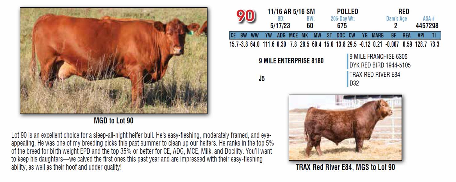 Lot 90: Hanging H Ranch - Annual Simmental & SimAngus Sale | Hanging H ...