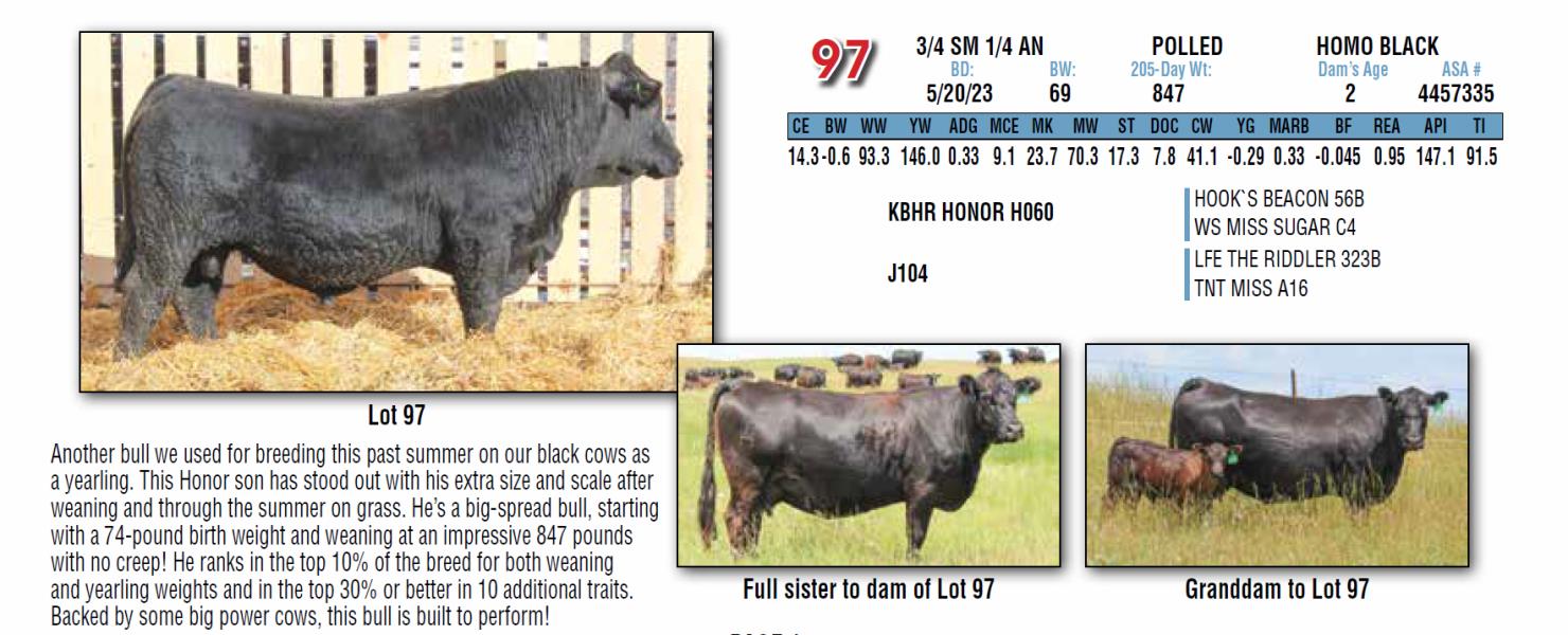 Lot 97: Hanging H Ranch - Annual Simmental & SimAngus Sale | Hanging H ...
