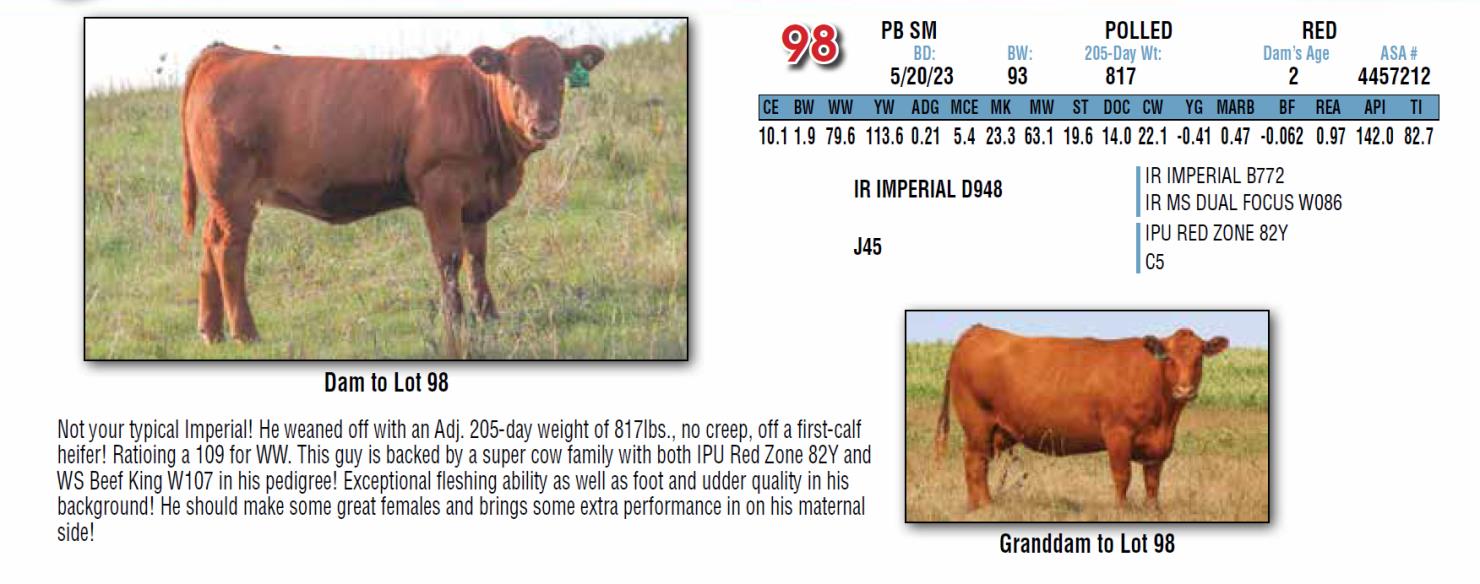 Lot 98: Hanging H Ranch - Annual Simmental & SimAngus Sale | Hanging H ...