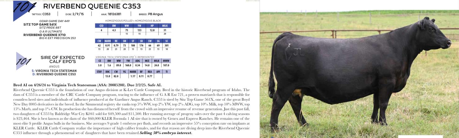 Lot 101: K-LER Cattle - 2025 Simmental Production Sale | DVAuction