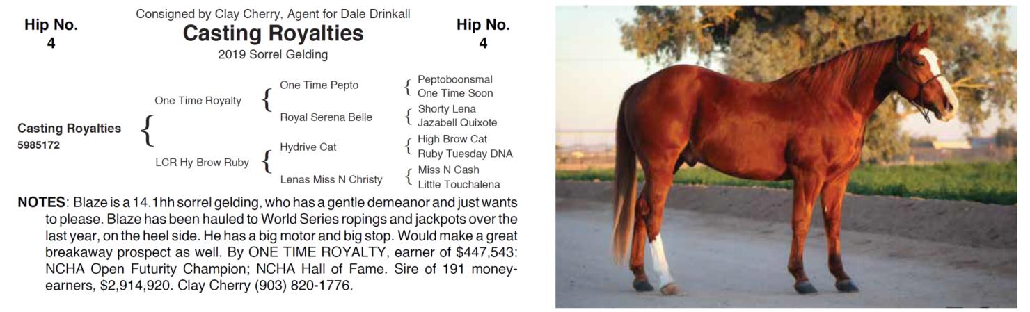 Lot 4: Hershberger Performance Horses - 20th Annual Hershberger ...