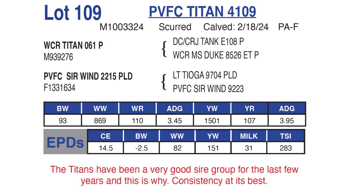 Lot 109: Prairie Valley Farm Charolais - Annual Charolais Bull Sale | DVAuction