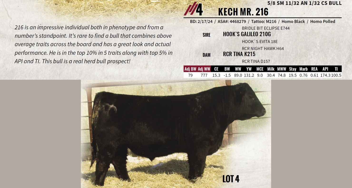 Lot 4: CK Bar Ranch - 24th Annual Sale | DVAuction