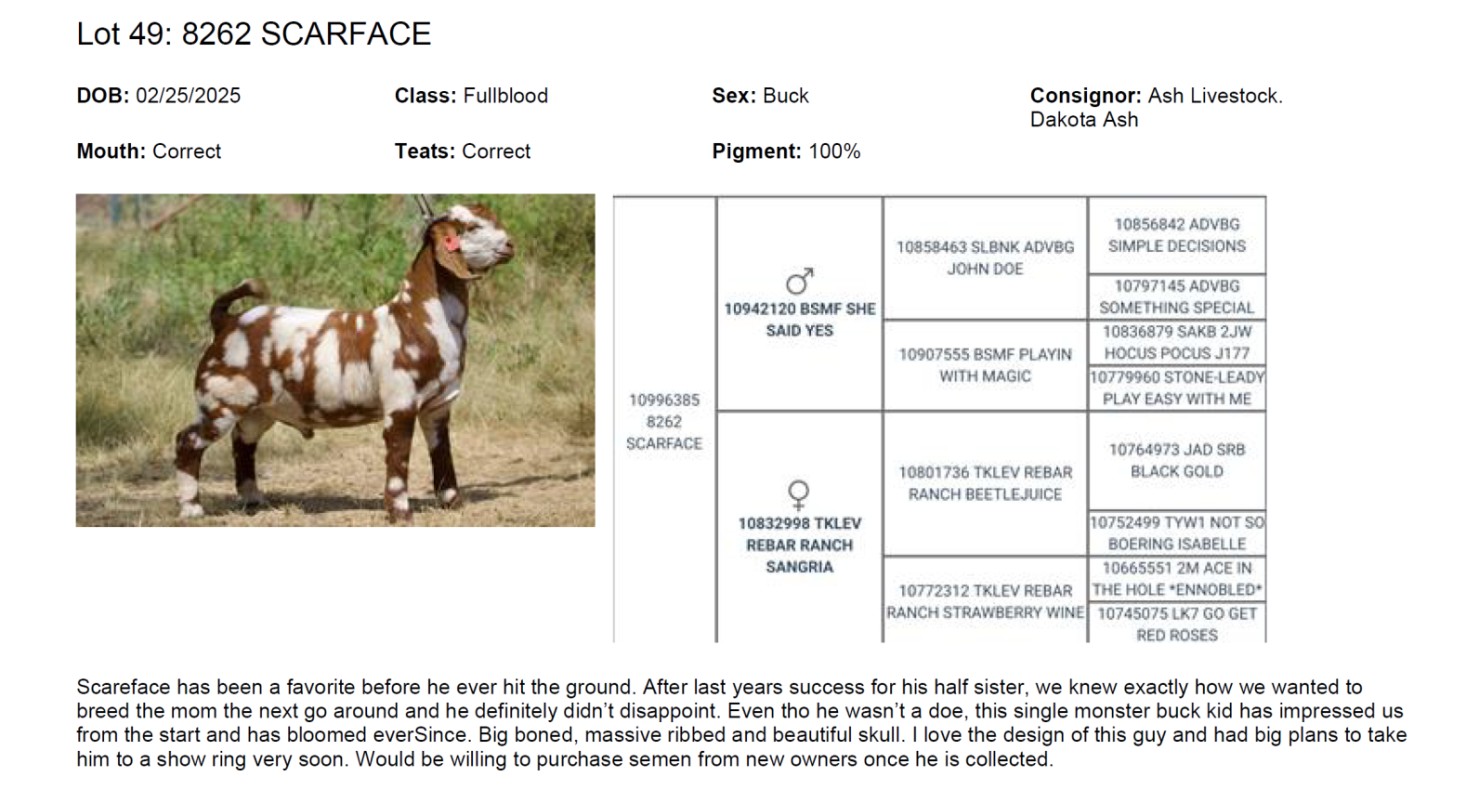Lot 49: Goatfest | DVAuction