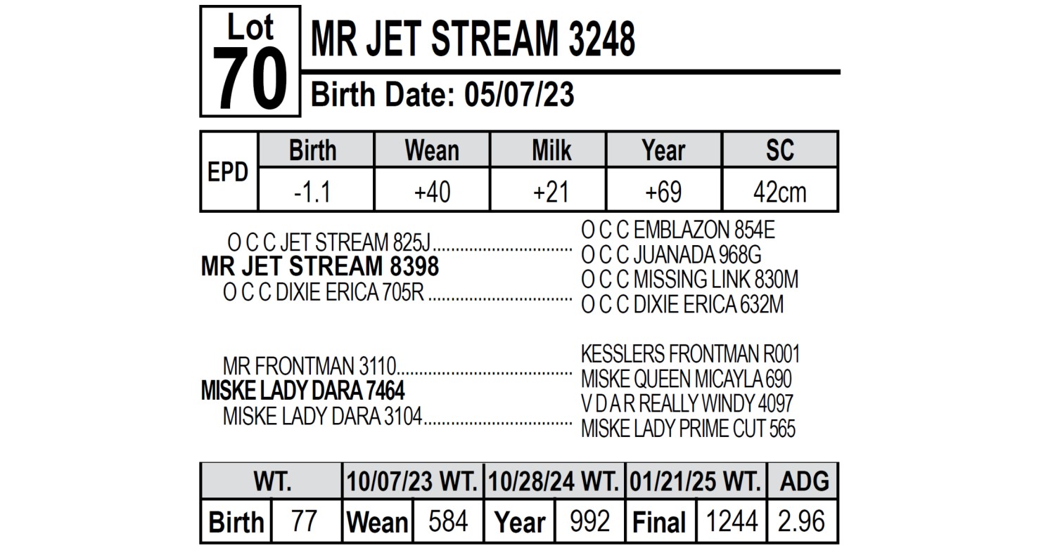 Lot 70: Miske Angus Ranch - Annual Bull Sale | DVAuction