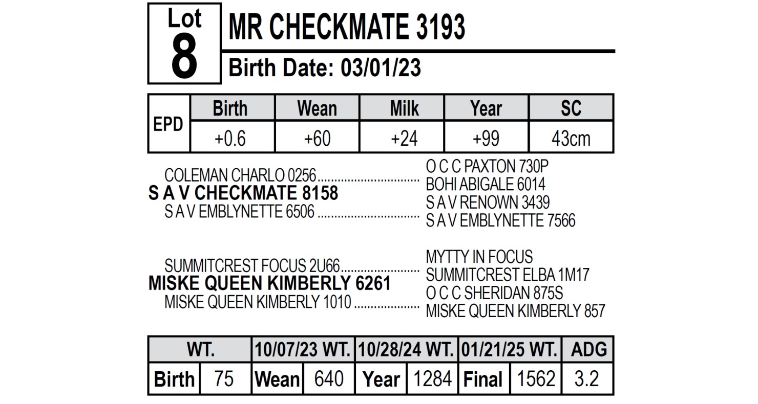 Lot 8: Miske Angus Ranch - Annual Bull Sale | DVAuction