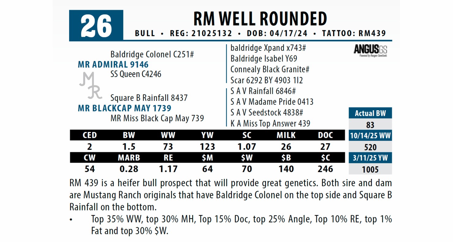 Lot 26: Mustang Ranch Angus - 2025 Power on the Plains | DVAuction
