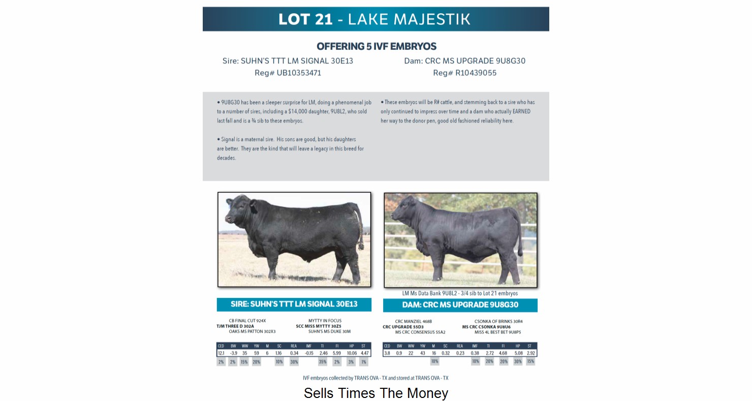 Lot 21 - LAKE MAJESTIK: Geneplus - Elite Embryo Auction | Geneplus