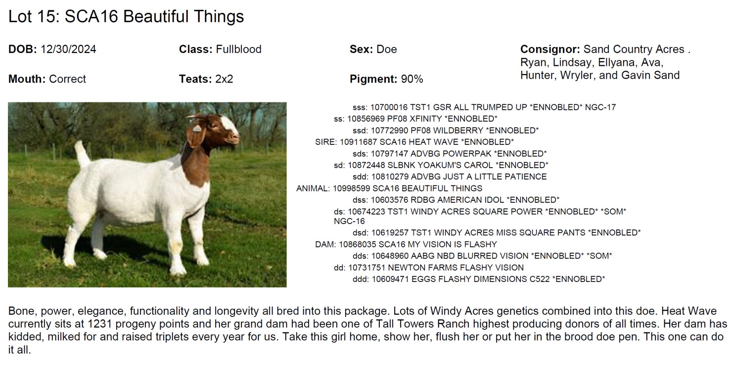 Lot 15: The Iowa Classic Sale - Annual Boer Goat Sale | DVAuction
