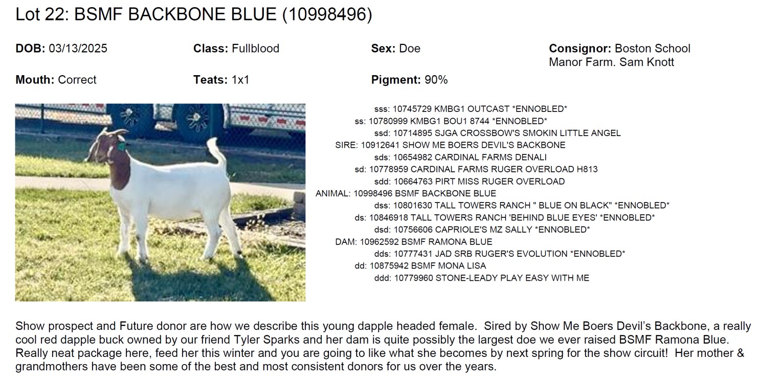 Lot 22: The Iowa Classic Sale - Annual Boer Goat Sale | DVAuction