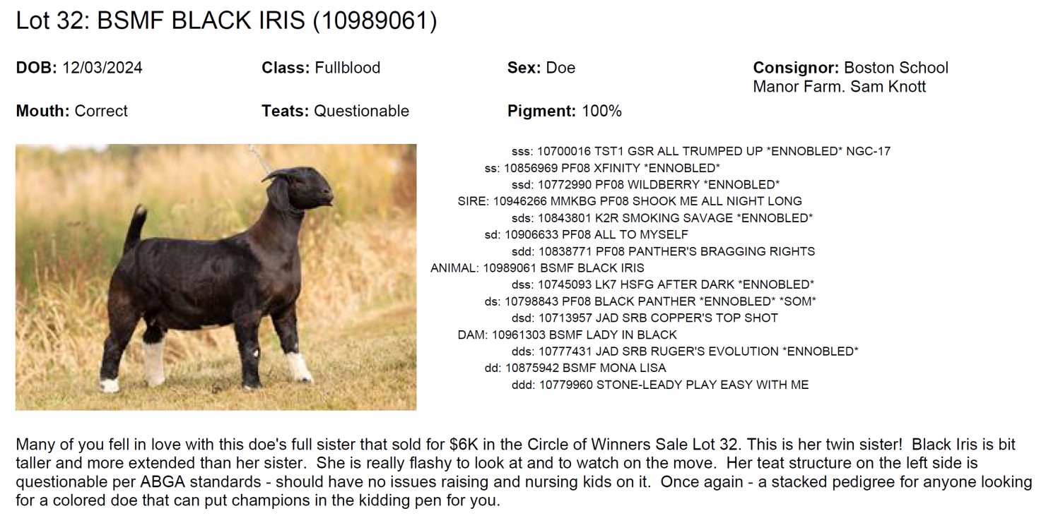Lot 32: The Iowa Classic Sale - Annual Boer Goat Sale | DVAuction