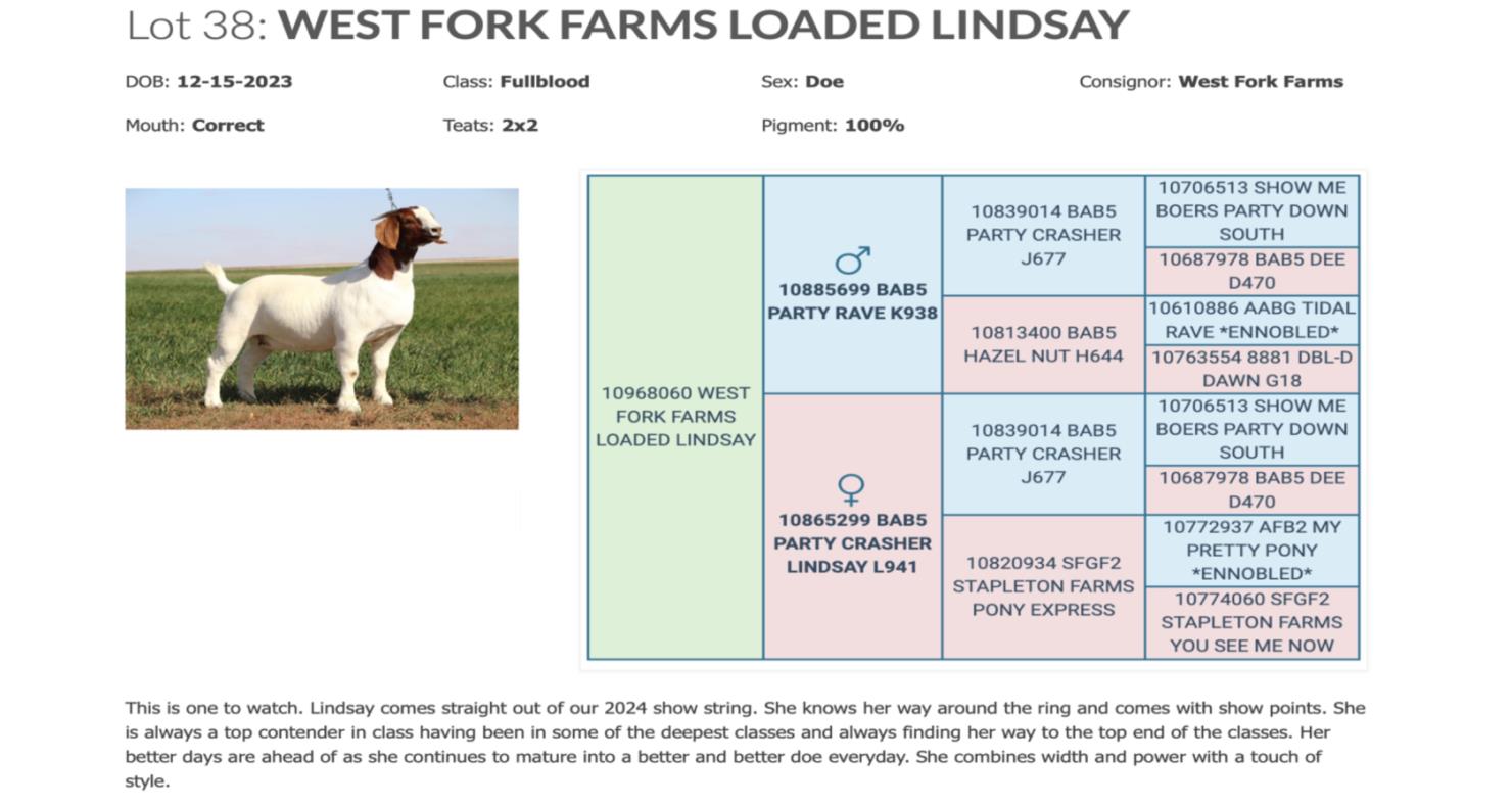Lot 38: The Iowa Classic Sale - Annual Boer Goat Sale | DVAuction