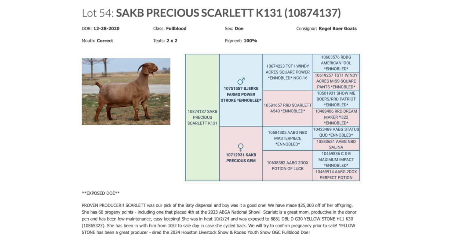 Lot 54: The Iowa Classic Sale - Annual Boer Goat Sale | DVAuction