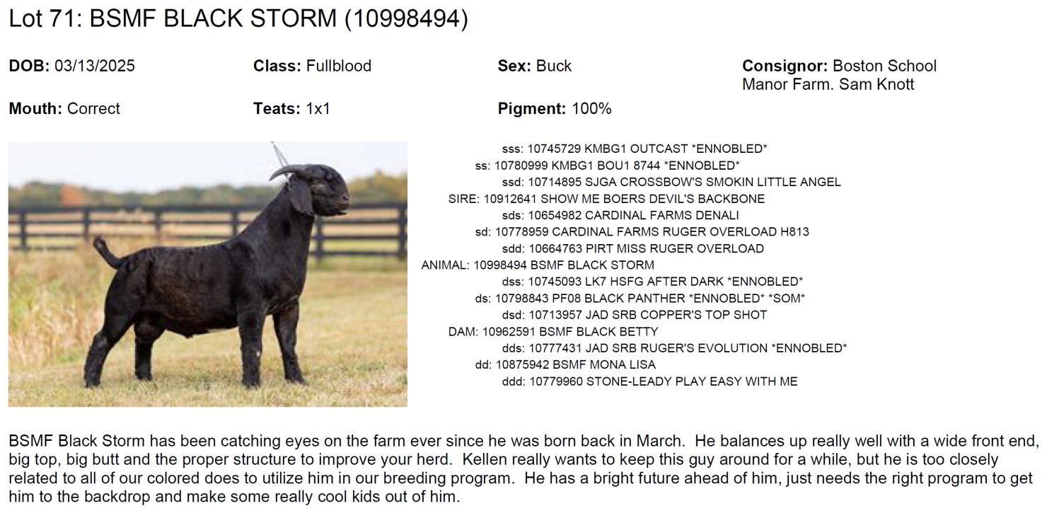 Lot 71: The Iowa Classic Sale - Annual Boer Goat Sale | DVAuction