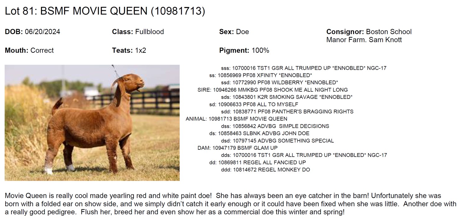 Lot 81: The Iowa Classic Sale - Annual Boer Goat Sale | DVAuction