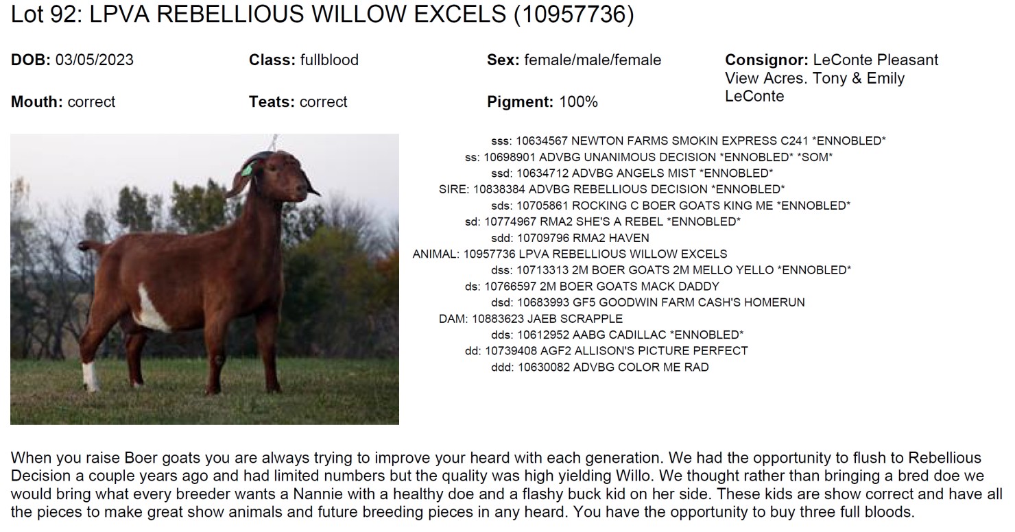 Lot 92: The Iowa Classic Sale - Annual Boer Goat Sale | DVAuction