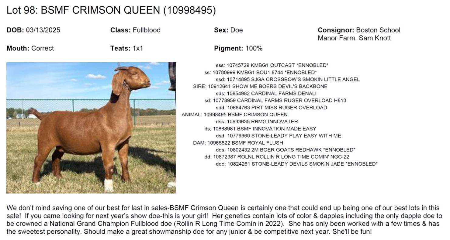 Lot 98: The Iowa Classic Sale - Annual Boer Goat Sale | DVAuction