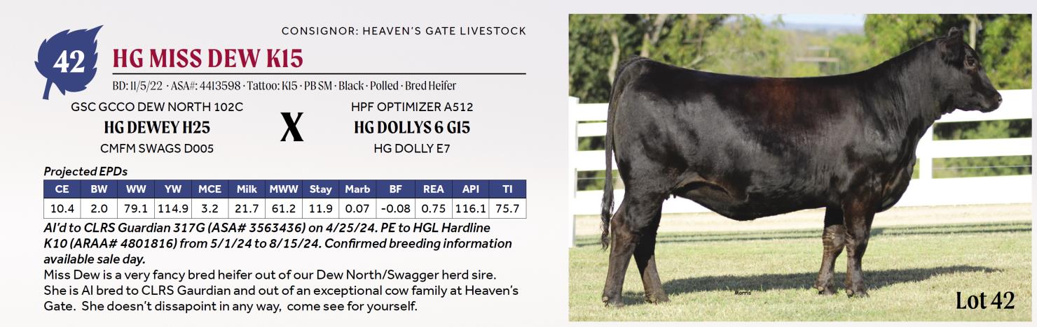 Lot 42: Missouri Simmental Association - Missouri Fall Harvest Sale ...