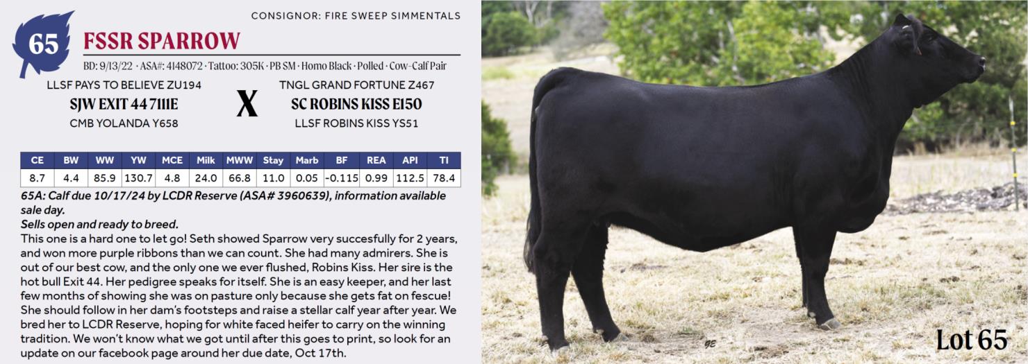 Lot 65: Missouri Simmental Association - Missouri Fall Harvest Sale ...