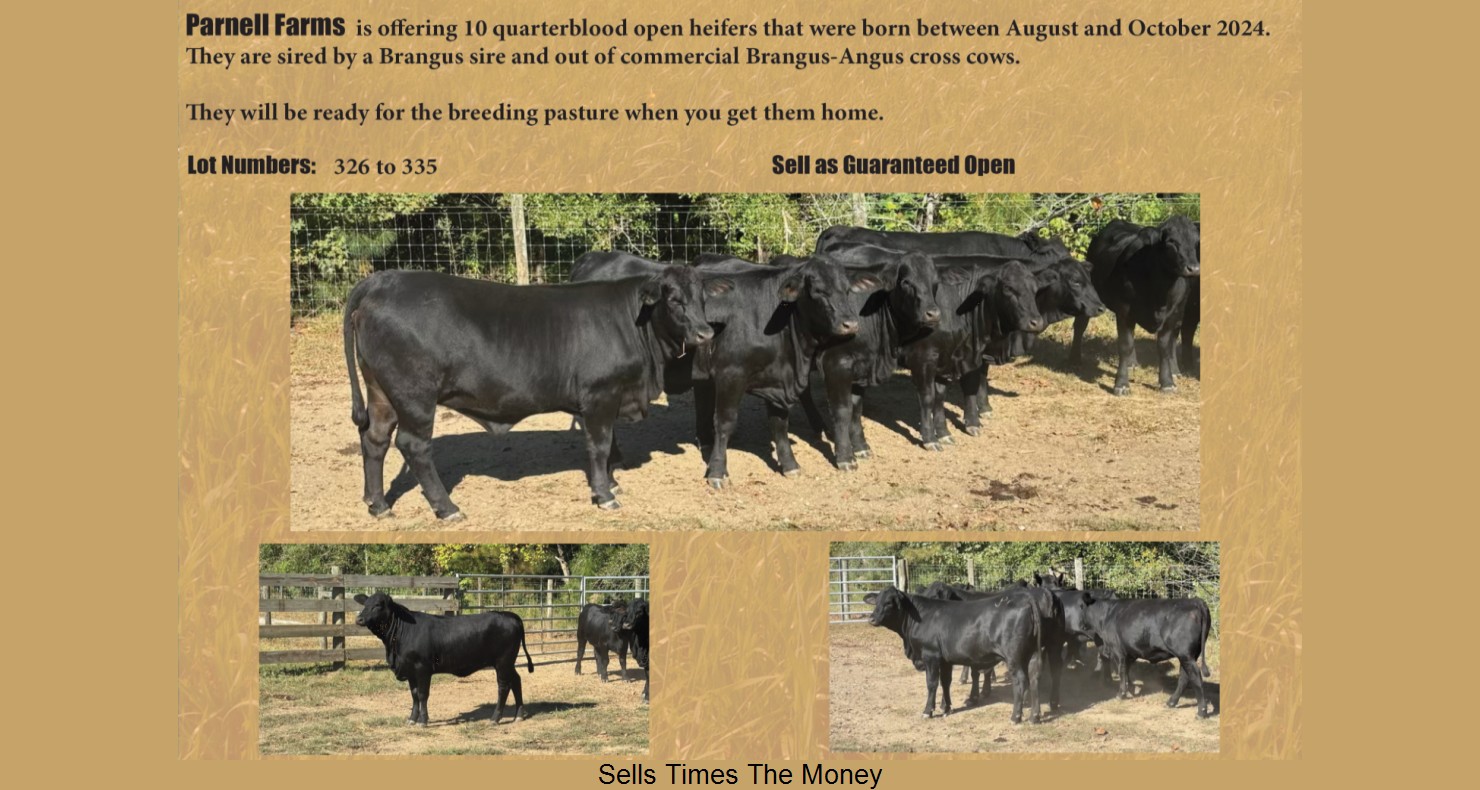 parnell: Fall Ball Replacement Female Sale - Fall Ball Replacement ...