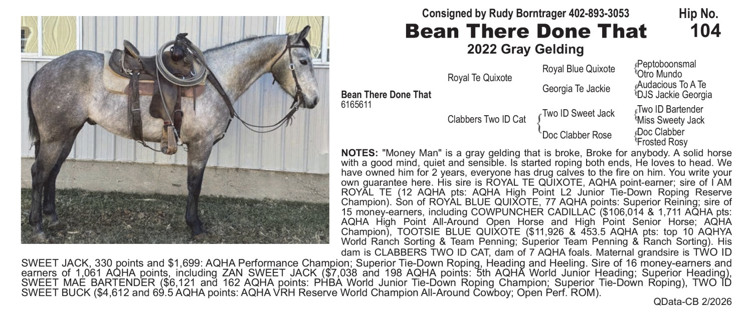 Lot 104: Pitzer Ranch - Spring Horse Sale | DVAuction