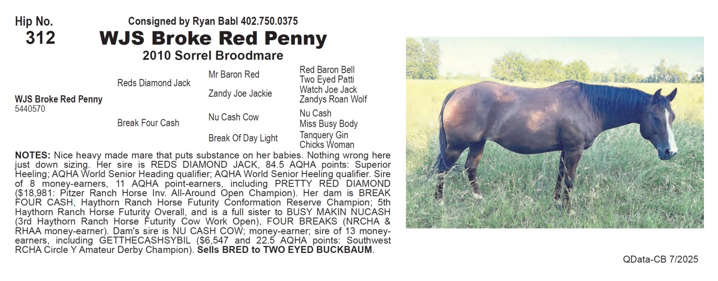 Lot 312: Pitzer Ranch - Preview at 7am CT followed by Fall Sale at 9am | DVAuction