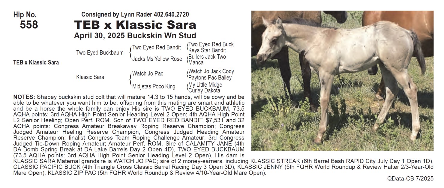Lot 558: Pitzer Ranch - Preview at 7am CT followed by Fall Sale Day 2 ...