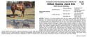 4/25/26 Pitzer Ranch - Spring Horse Sale Lots | DVAuction