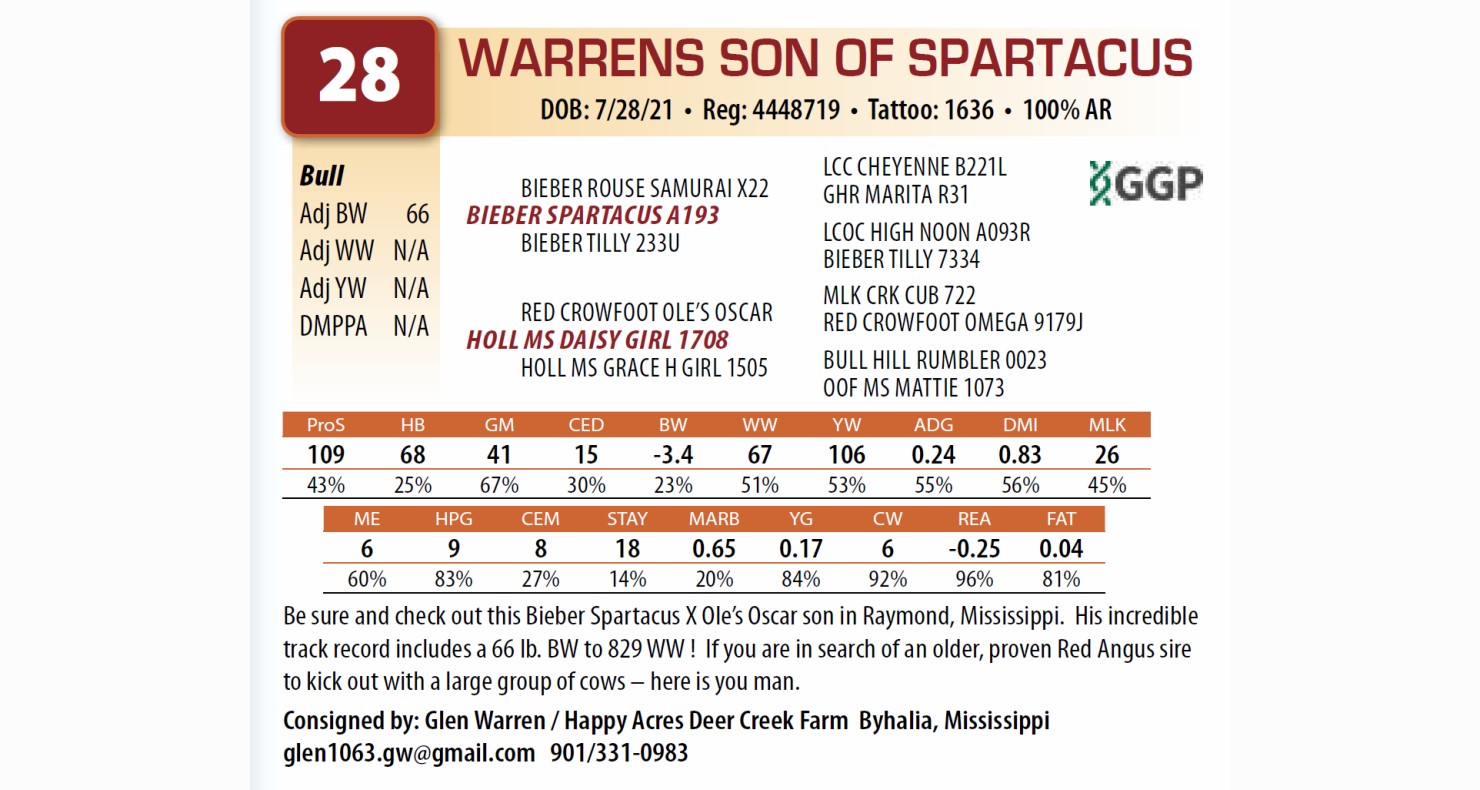 Lot 28: Mississippi Red Angus Association - Mississippi Red Angus ...