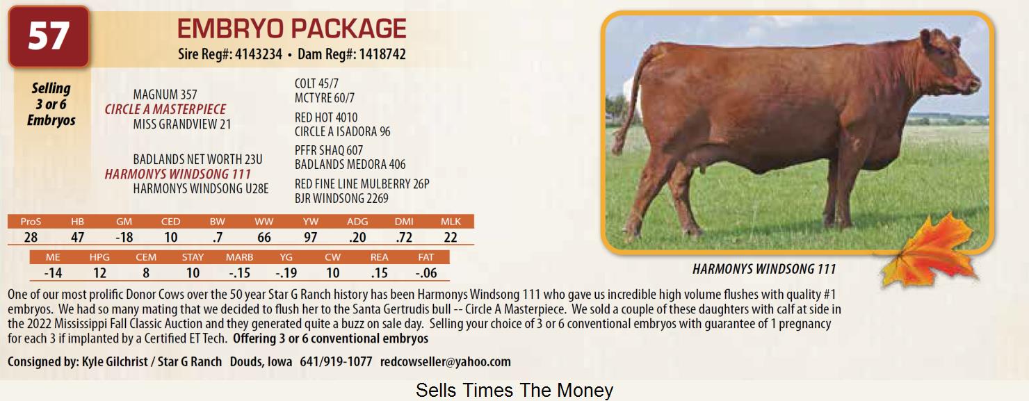 Lot 57: Mississippi Red Angus Association - Mississippi Red Angus ...