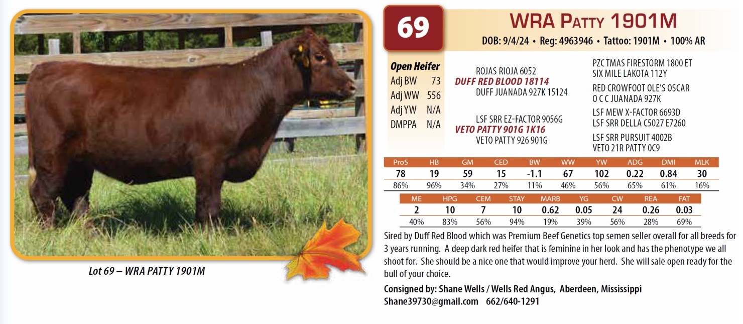 Lot 69: Mississippi Red Angus Association - Mississippi Red Angus ...