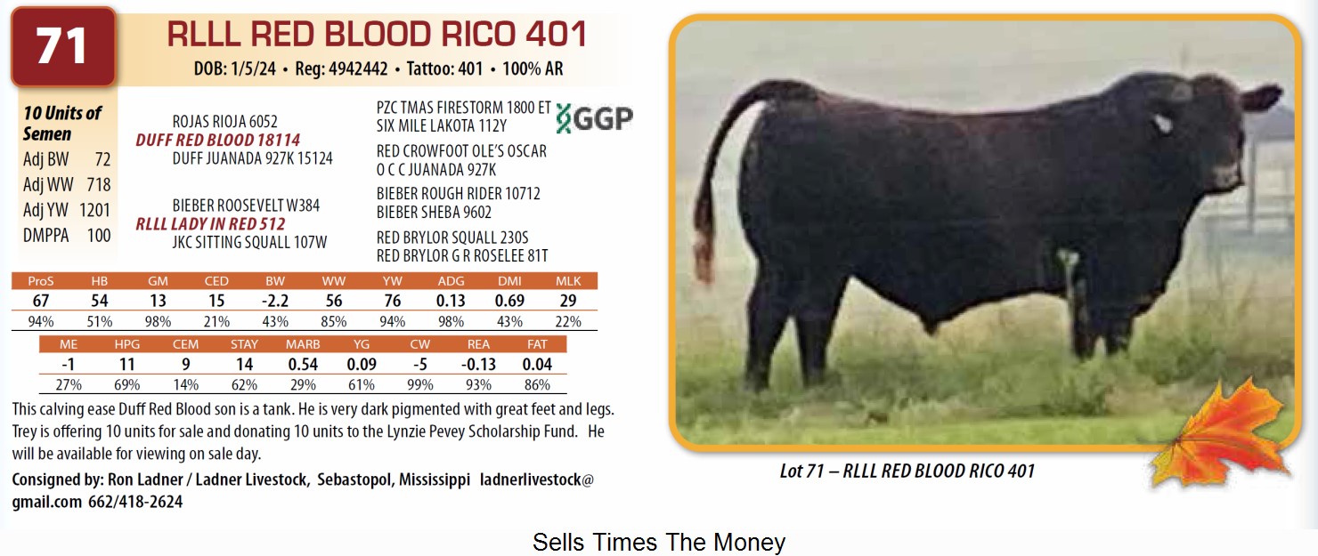 Lot 71: Mississippi Red Angus Association - Mississippi Red Angus ...