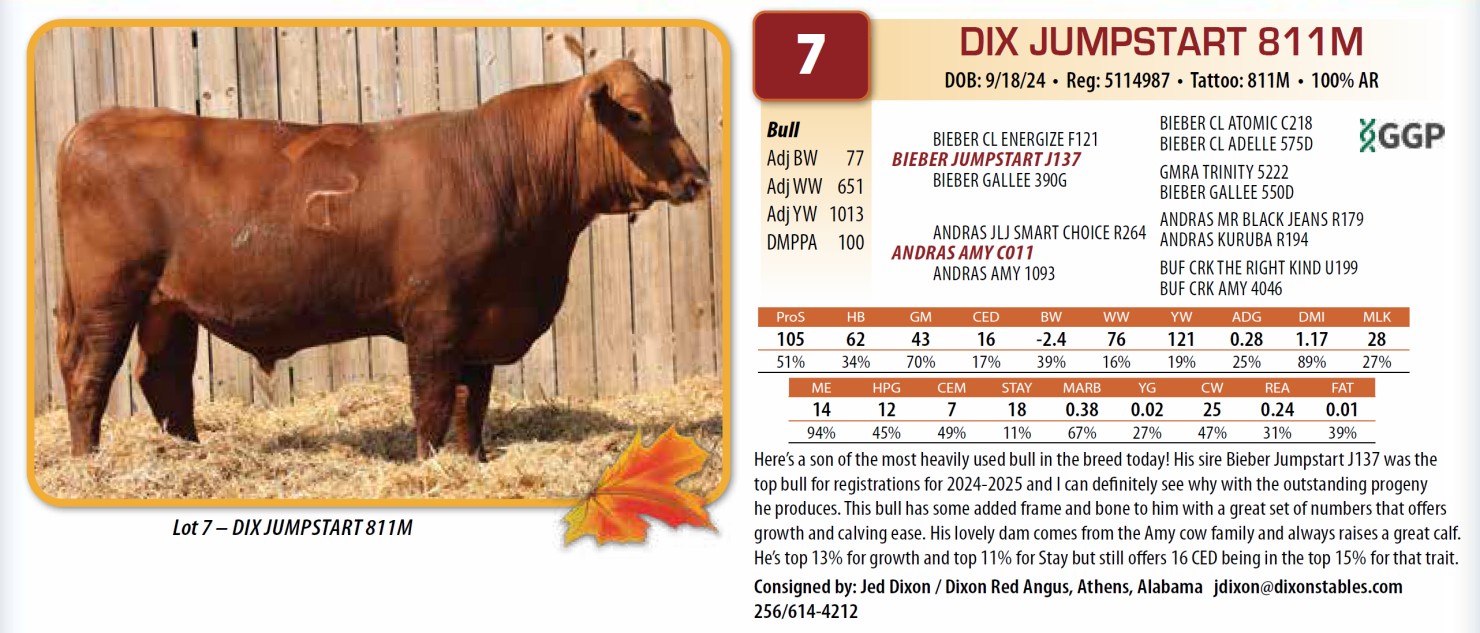 Lot 7: Mississippi Red Angus Association - Mississippi Red Angus ...