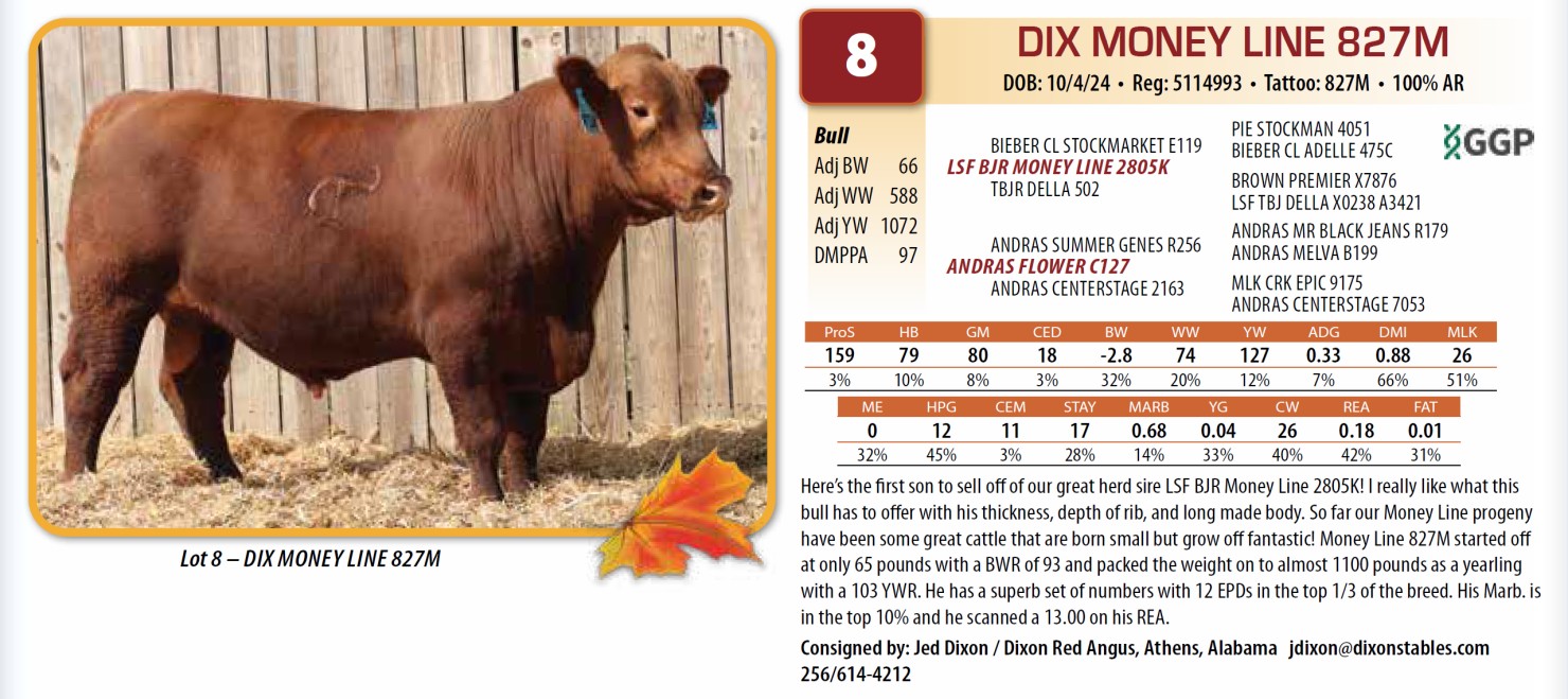 Lot 8: Mississippi Red Angus Association - Mississippi Red Angus ...