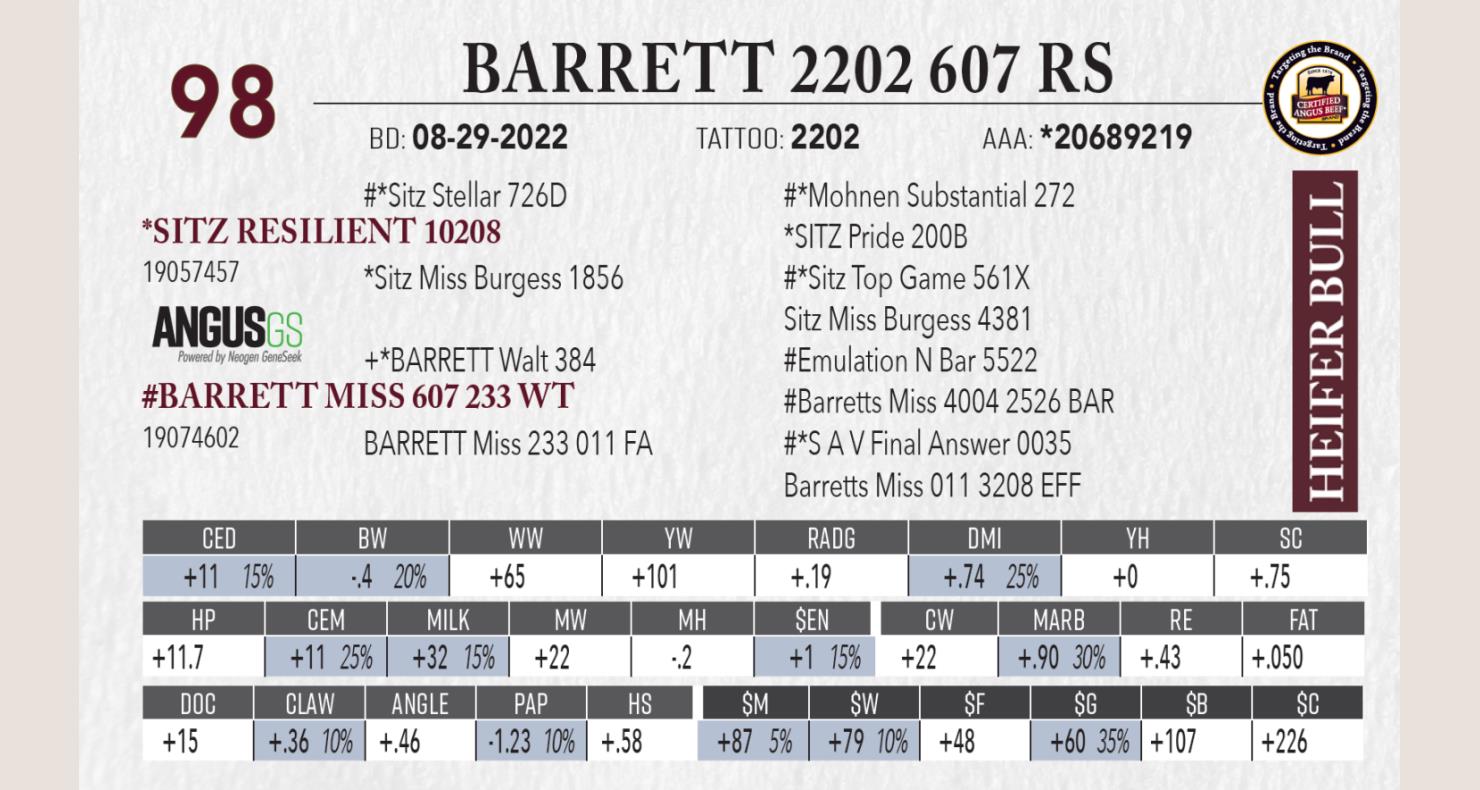Lot 98: Barrett Cattle & Mill Brae Ranch - Annual Bull Sale | DVAuction