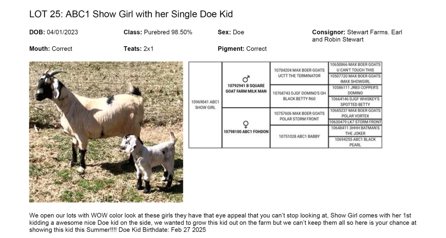 Lot 25 - Stewart Farms Boer Goats: IBGA - Spring Invitational Sale ...