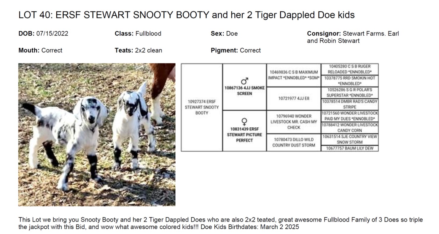 Lot 40 - Stewart Farms Boer Goats: IBGA - Spring Invitational Sale ...