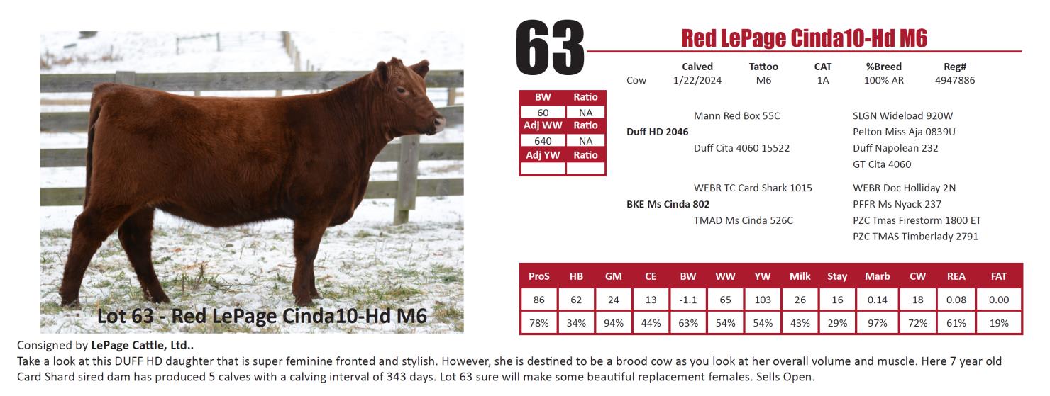 Lot 63: New York Red Angus Association- Right on Red | DVAuction