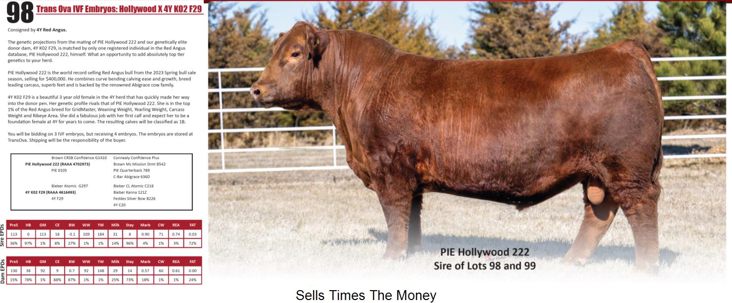 Lot 98: New York Red Angus Association- Right on Red | DVAuction