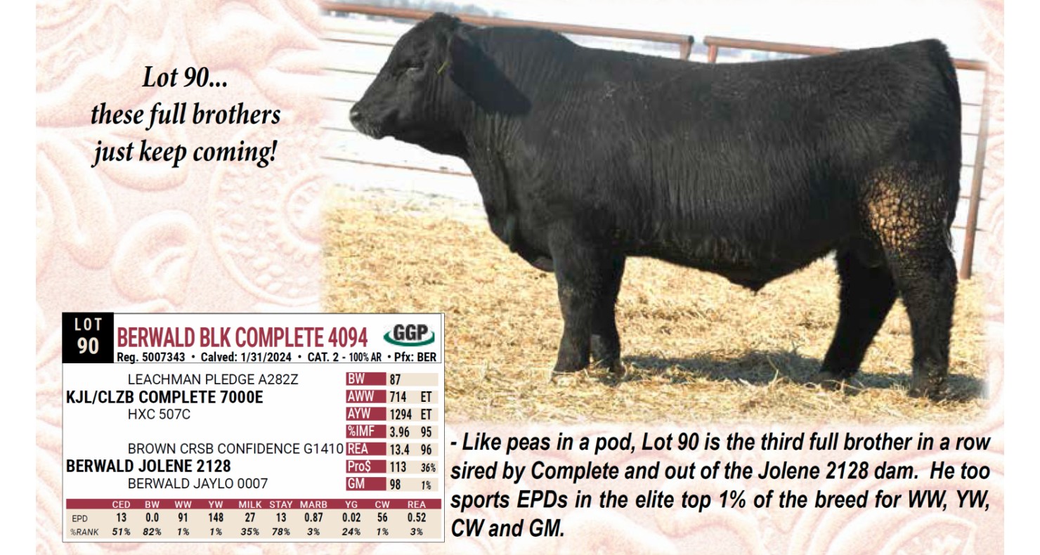 Lot 90: Berwald Red Angus - Annual Red Angus Bull Sale | DVAuction